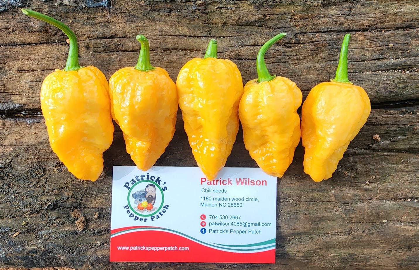 Orange Ghost Jami | Patrick's Pepper Patch