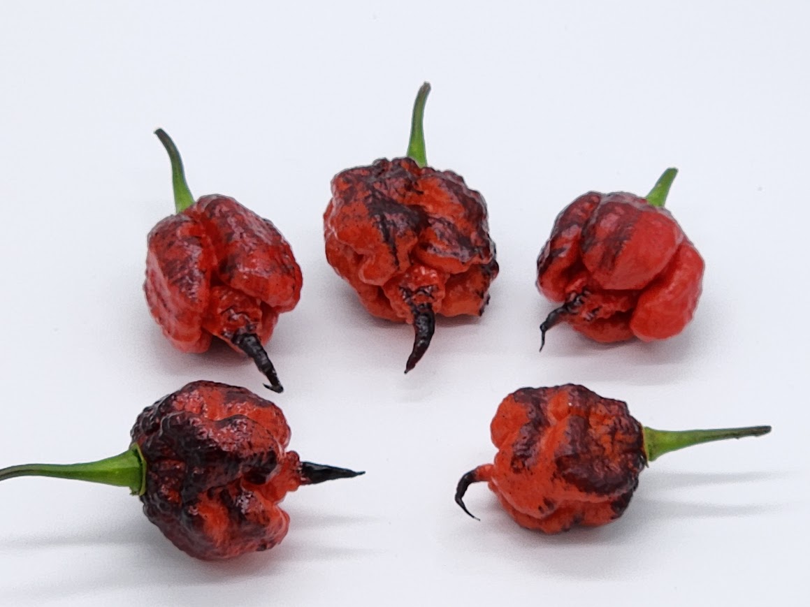 WELCOME! | Patrick's Pepper Patch