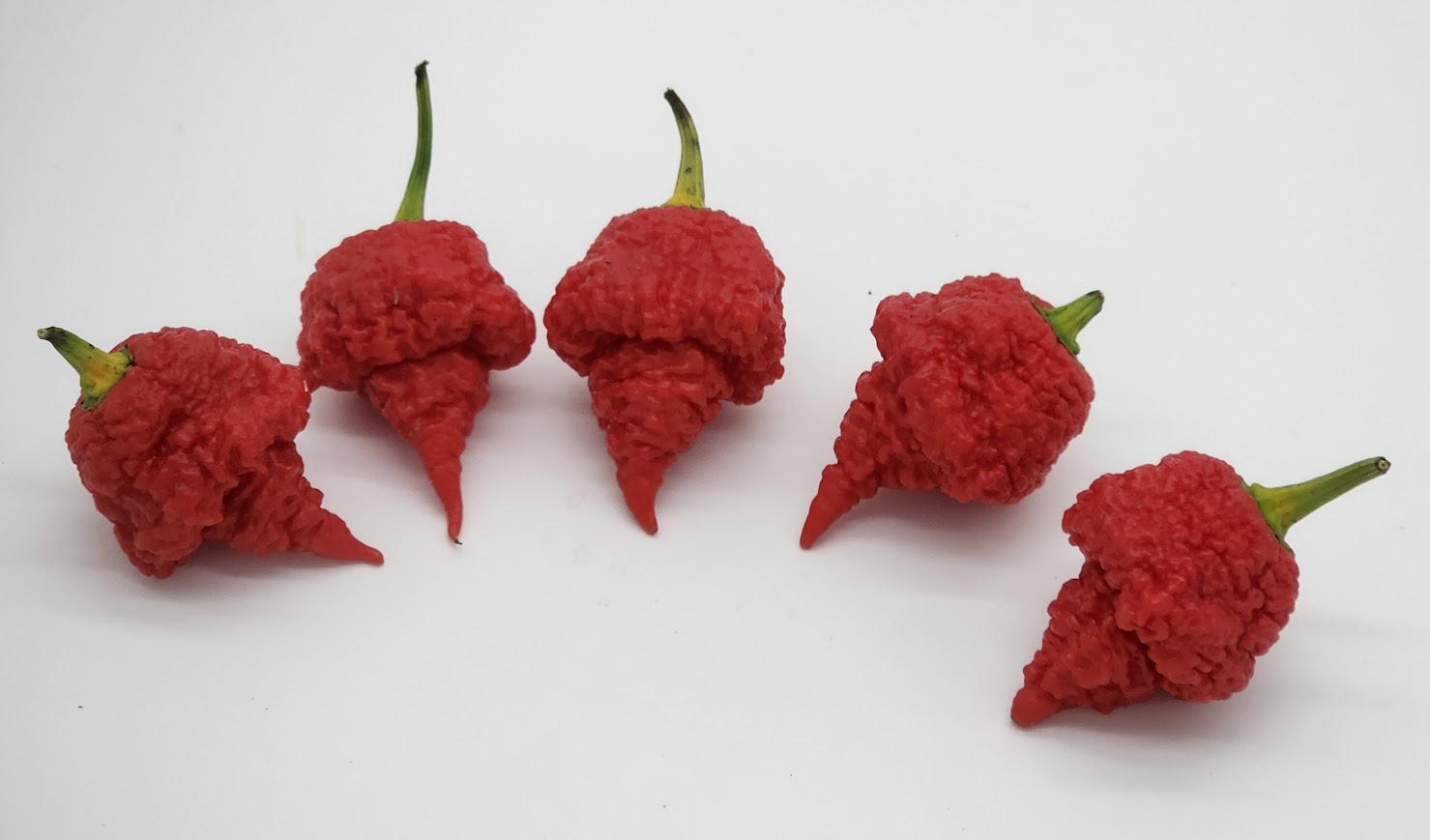 RB003 | Patrick's Pepper Patch